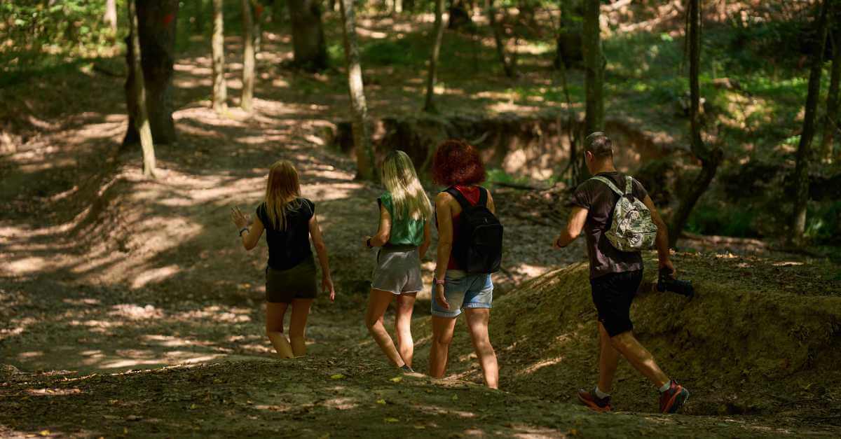 Sintra Hiking Trails for Beginners: 7 Easy Routes with Breathtaking ...